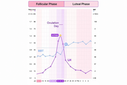 What Is LH (Luteinizing Hormone)? Levels & LH Surge Guide